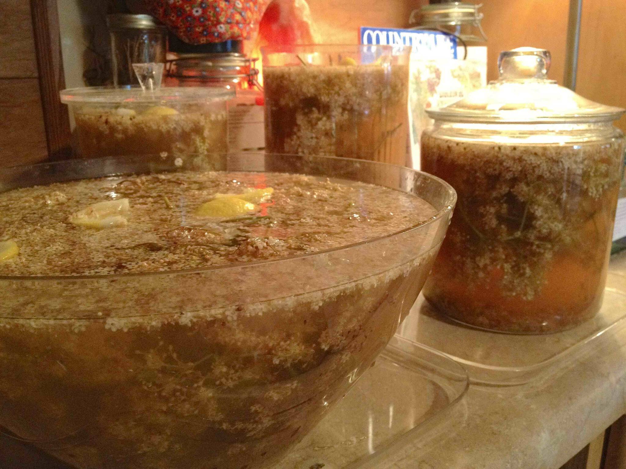 Making Elderflower Cordials - by Landscape Architect Mary Palmer Dargan ...