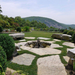 Dargan Landscape Architects - Create Nourishing Flourishing Home Utopias