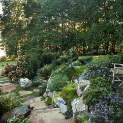 Dargan Landscape Architects - Create Nourishing Flourishing Home Utopias